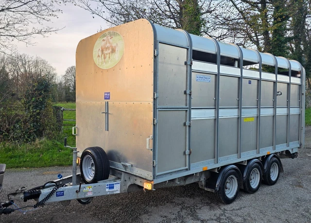 2020 IFOR WILLIAMS DP120 S3 14ft livestock trailer in excellent ...