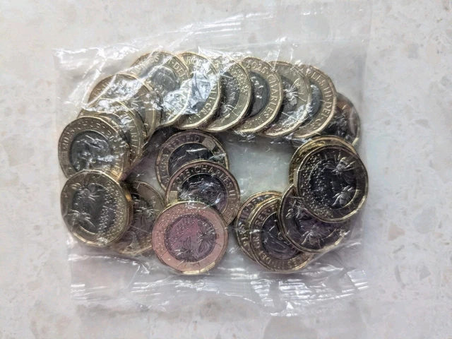 2025 KING CHARLES III Bee One Pound / £1 Coin Sealed Bag Of 20 Coins. £ ...