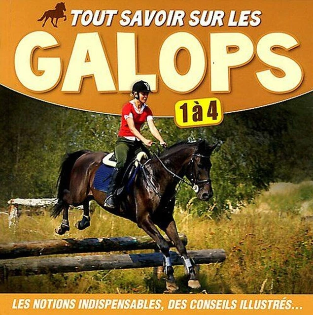 TOUT SAVOIR SUR les galops : 1 à 4 | Editions ESI | Très bon état EUR 5 ...
