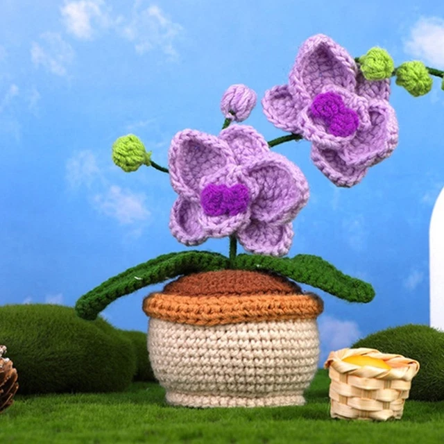 BEGINNERS CROCHET KITS, DIY Crochet Flower Kits, with Yarn, Crochet ...