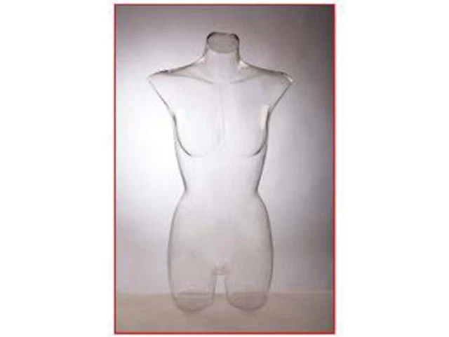 MANEQUIN MANNEQUIN MANIKIN Torso Form FEMALE TRANSPARENT mannequin $188 ...