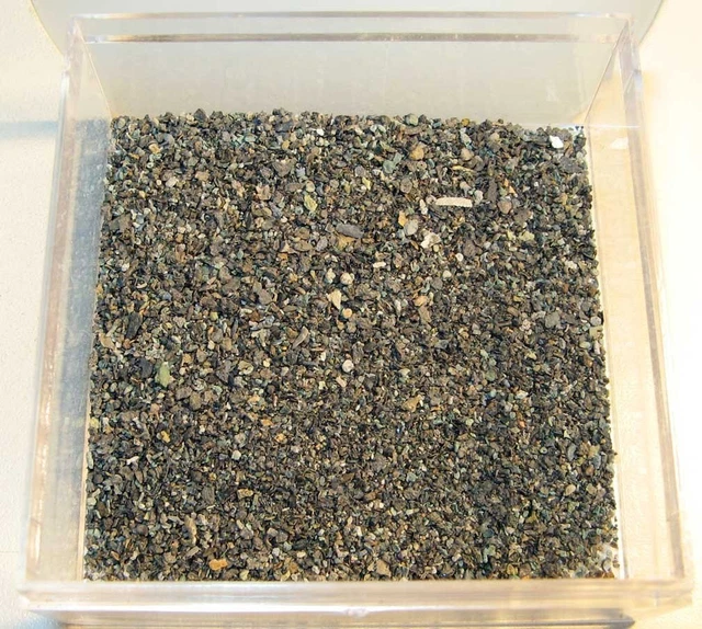 DEVONIAN CONODONT MICROFOSSIL shark tooth sample Genundewa Shale 18 ...