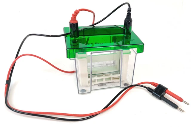 BIO-RAD MINI PROTEAN 3 Cell Electrophoresis System w One 165-3130 Buffer Dam £237.17 - PicClick UK