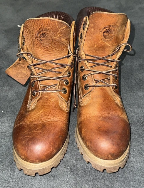 TIMBERLAND BOOTS MEN’S US 8M Brown Waterproof PrimaLoft insulation ...