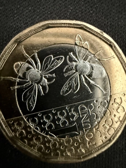 EXTREMELY RARE KING Charles Bees £1 Coin 2025 edition! £7,081.68 ...
