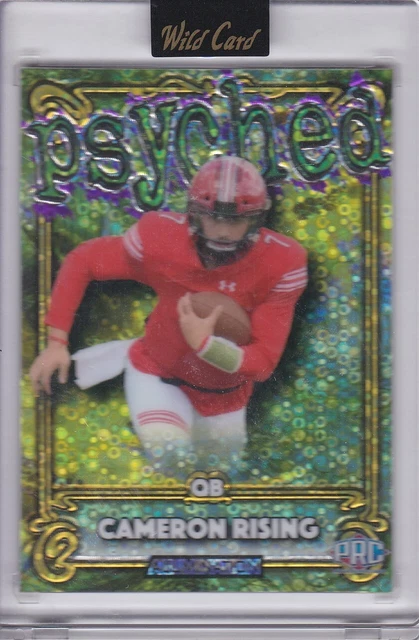 2023 WILD CARD Alumination Psyched Cameron Rising PRC 4/5 EUR 49,98 ...