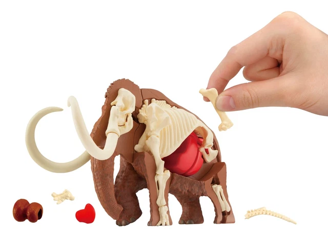 MEGAHOUSE DISASSEMBLY PUZZLE Science Mammoth Reconstruction From Japan ...
