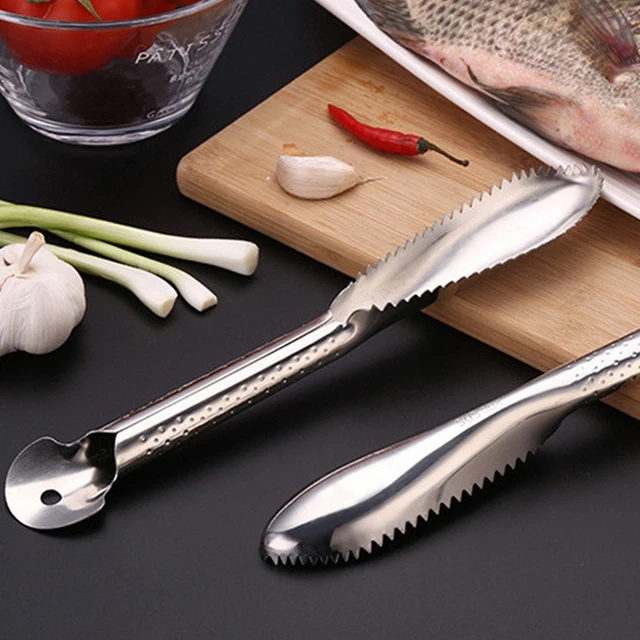 VERSATILE STAINLESS STEEL Fish Scaler and Descaler Multi Purpose ...