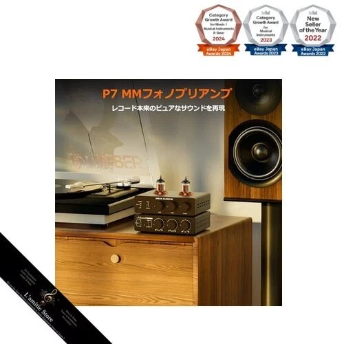 PRÉAMPLI À TUBE à vide Douk Audio P7 avec égaliseur phono pour lecteurs ...