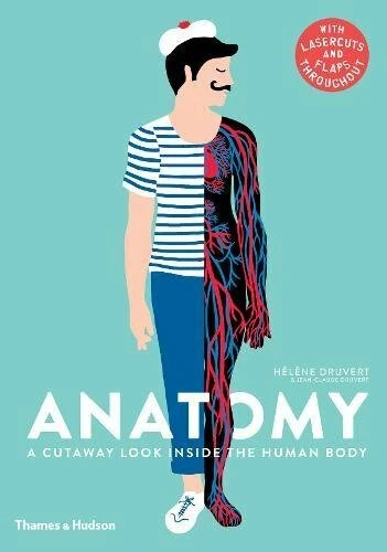 ANATOMY: A CUTAWAY Look Inside the Human Body. Druvert 9780500651360 ...