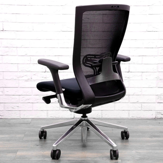 TECHO SIDIZ T50 Ergonomic Task Office Chair With Lumbar Support (10 ...