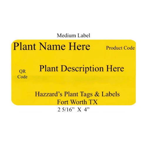 AGASTACHE RUPESTRIS SUNSET Hyssop - Peel & Stick Labels { Pk of 25 } £4 ...