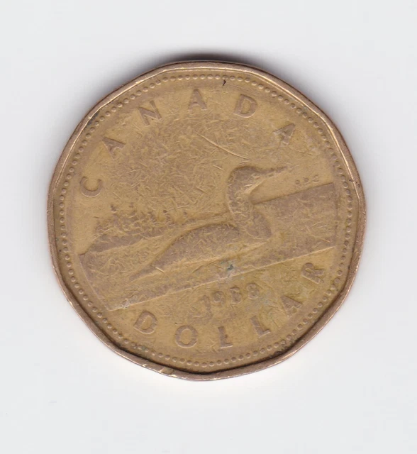 1988 CANADA DOLLAR Coin Canadian loon swimming on a lake G-17 EUR 1,21 ...