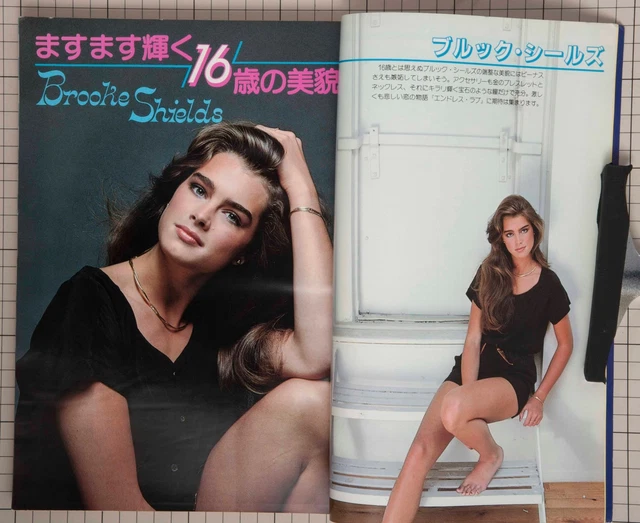 GOLDIE HAWN FARRAH Fawcett Brooke Schilde Paul Newman SCREEN Japan ...