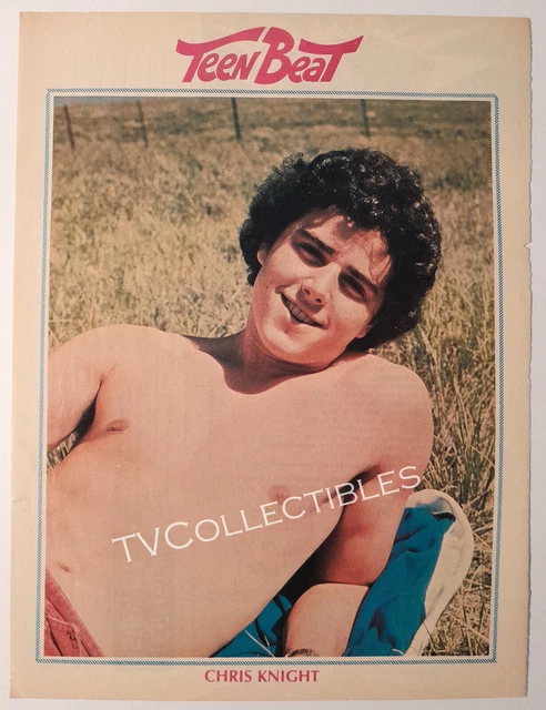 MAGAZINE PINUP~ THE BRADY BUNCH's Christopher Knight ~1970s ~Lounging ...