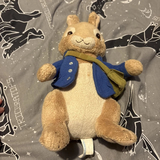 PETER RABBIT PLUSH Toy With Hoody £4.36 - PicClick UK