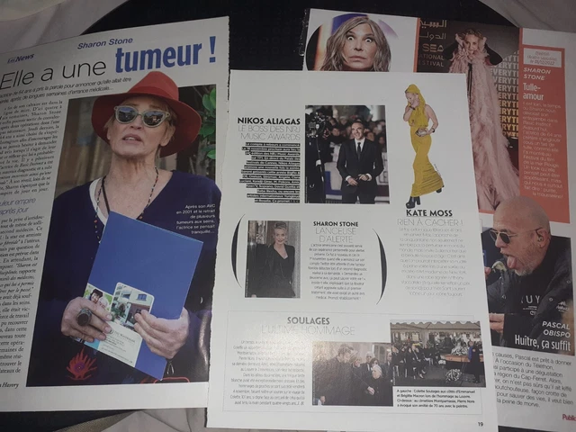 LOT DE COUPURES De Presse SHARON STONE Clippings EUR 5,00 - PicClick FR