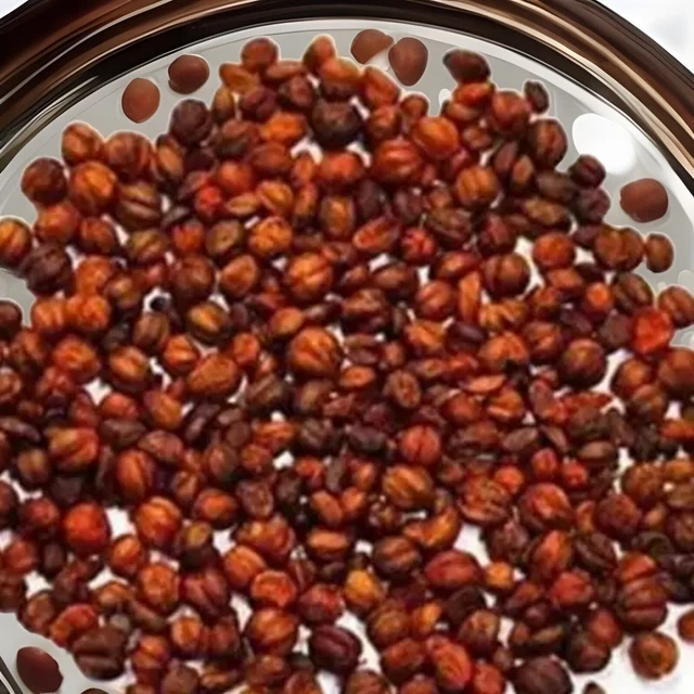 MALKANGNI SEED JYOTISHMATI Celastrus paniculatu Malkakni Seed 50g £8.00 ...