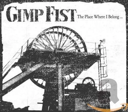 GIMP FIST THE Place Where I Belong (CD) EUR 16,65 - PicClick FR