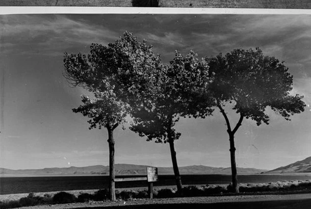 PYRAMID LAKE RANCH, Sutcliffe, Nevada 1950s view OLD PHOTO 3 EUR 6,50 ...