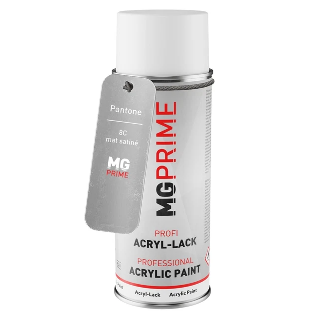 PANTONE 8C WARM Grey Bombe aérosol 400 ml mat satiné séchage rapide EUR ...