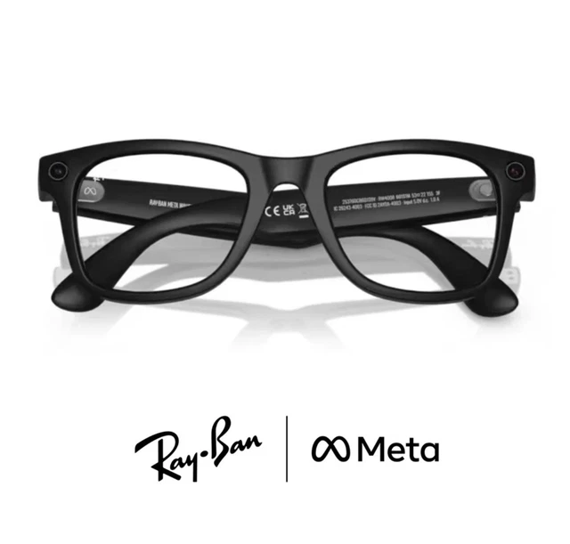 RAY-BAN META AI Wayfarer Transitions® RW4008 601S1M 53 (Large) Matte ...