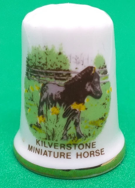 VINTAGE THIMBLE KILVERSTONE Miniature Horse MG Norwich Souvenir Bone ...