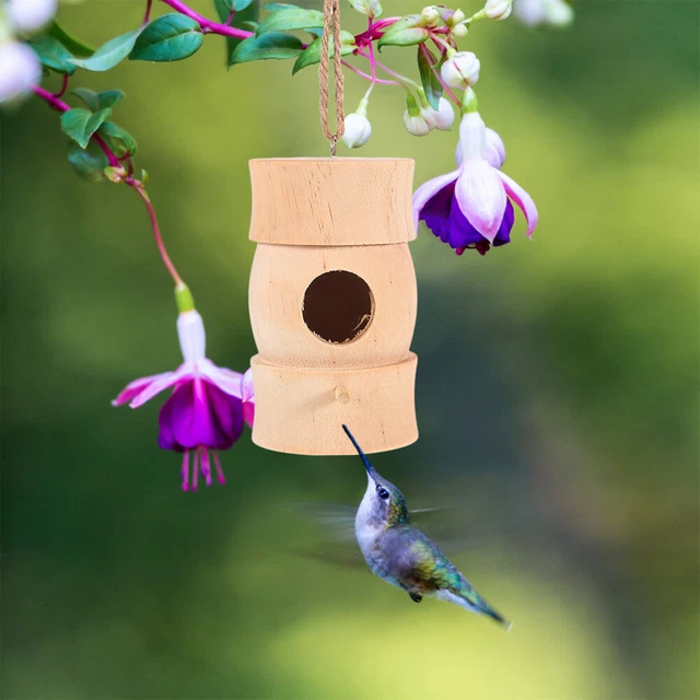 CASE PER UCCELLINI per nidificazione esterna colibrì piccolo ...