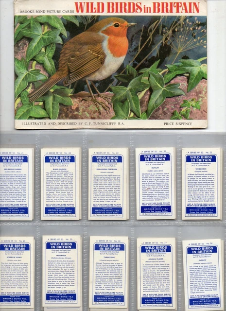 EMPTY UNUSED BROOKE bond wild birds of britain album with full set of ...