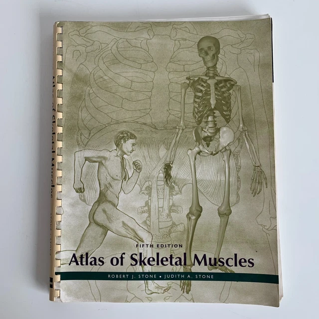 ATLAS OF SKELETAL Muscles Paperback Book by Robert & Judith Stone Fifth ...