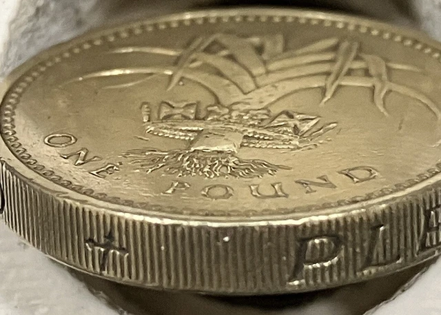 1985 UPSIDE DOWN EDGE MINT ERROR ONE POUND ELIZABETH II COIN Circulated ...