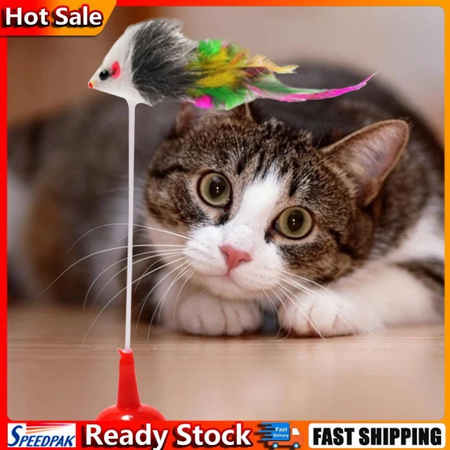 FUNNY SUCKER SPRING False Mouse Cats Kitten Teaser Toys Pet Cat ...