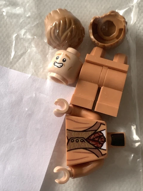 LEGO MINIFIGURE PROFESSOR Gilderoy Lockhart Harry Potter from Set 76389 ...
