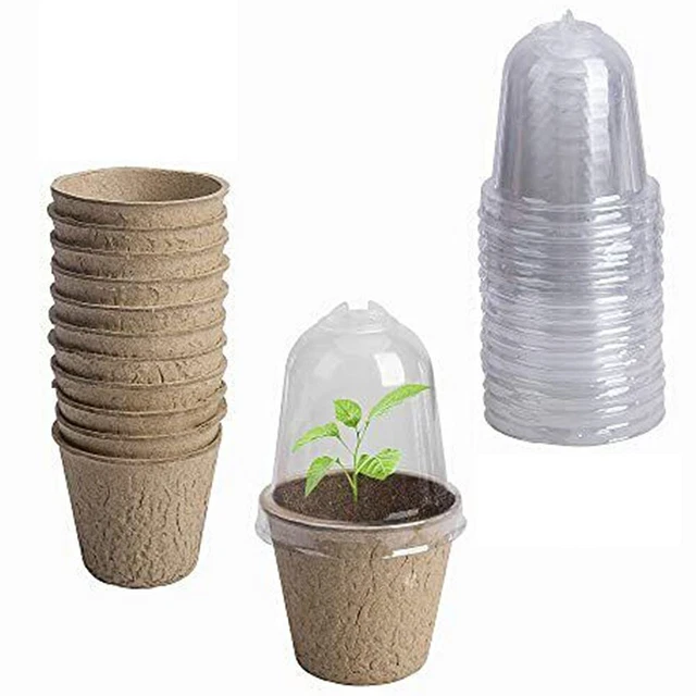 ENVIRONNEMENT OXYG N POUR plantes 10 pots en papier biod gradables avec ...