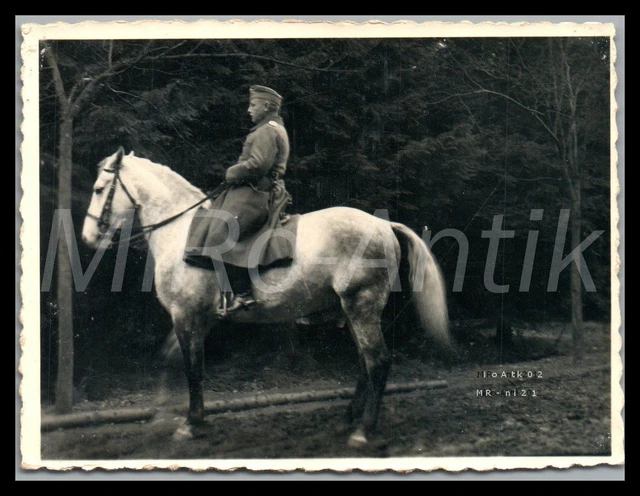FOTO, WK2, 269.INF.DIV., Wachtmeister Schröder b, Merzbrück, Nov. 1939 ...