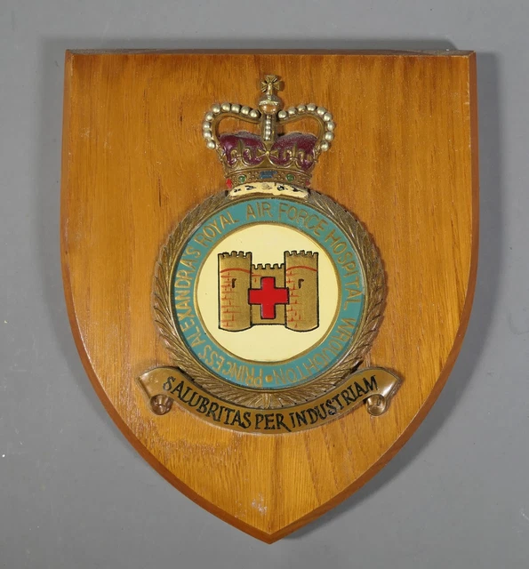 VINTAGE ROYAL AIR Force Raf Shield Plaque Princess Alexandras Hospital ...