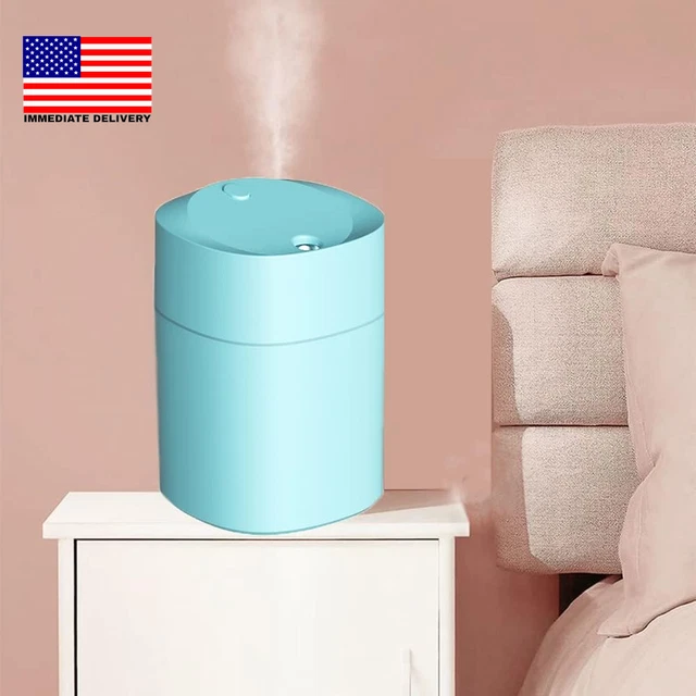 AIR HUMIDIFIER USB Plug-In Power Supply, Facial Hydration, Mini ...