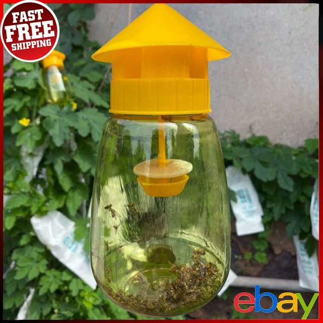 FRUIT FLY TRAP Killer Drosophila Trap Solid Insect Fly Trap Yellow for ...