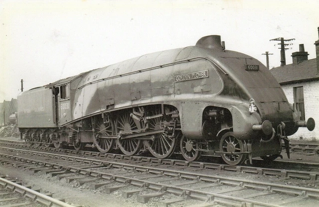 EX LNER CLASS A4 4-6-2 No 60031 "GOLDEN PLOVER" at HAYMARKET SHED 1948 R/PHOTO EUR 2,31 ...
