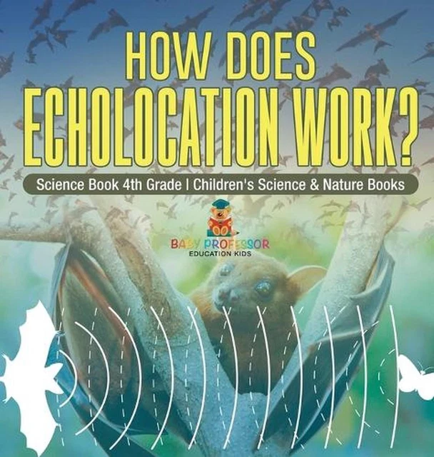 HOW DOES ECHOLOCATION Work? Science Book 4th Grade Children's Science ...