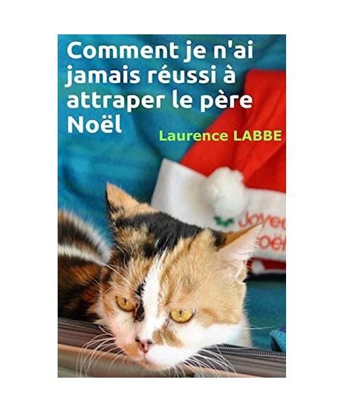 COMMENT JE N'AI jamais réussi à attraper le père Noël, LABBE, Laurence ...