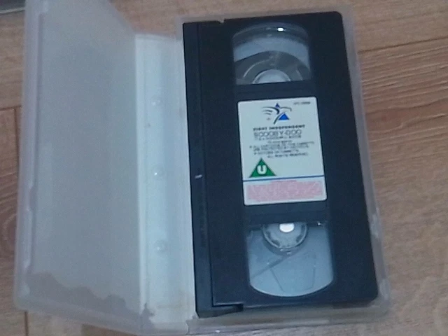 2X SCOOBY-DOO VHS It's A Wonderful Scoob Special Edition & Where Are ...