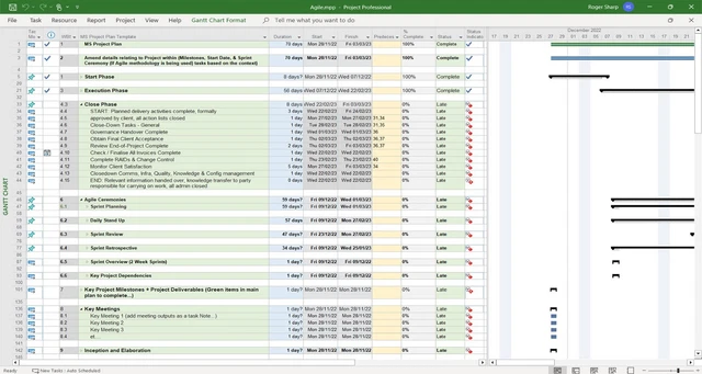 PROJECT MANAGEMENT TEMPLATES, Excel Gantt Chart, Prince 2 Edition £37. ...