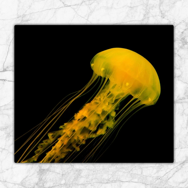 GLASSCHNEIDEBRETTER GLASSCHNEIDEPLATTEN GLAS Schneidebrett Gelbe Qualle ...