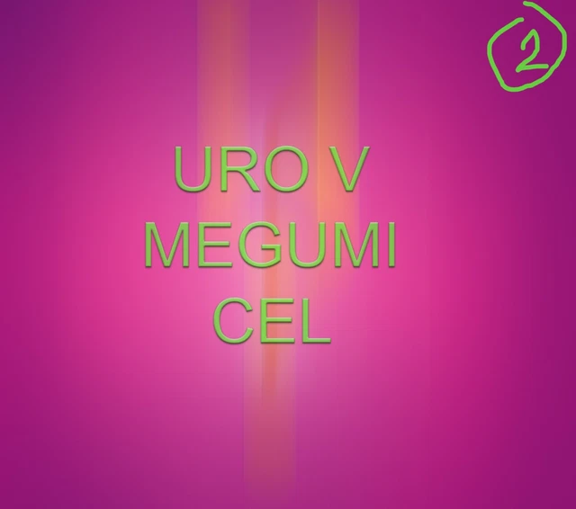 UROTSUKIDOJI V- THE Final Chapter (1996) Megumi anime production Cel #2 ...