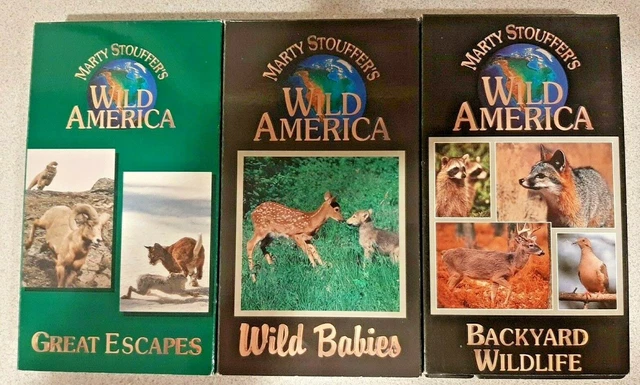 MARTY STOUFFER'S WILD America-Great Escapes/Wild Babies/Backyard ...