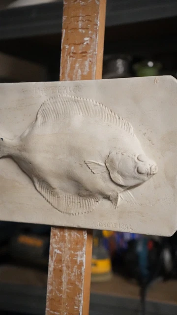 ANTIQUED PLAICE HANDMADE plaster cast £0.99 - PicClick UK