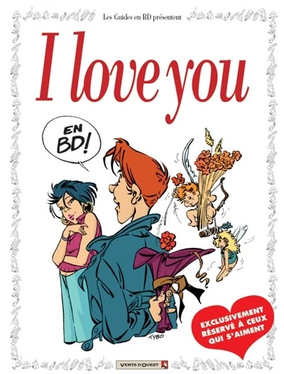 GUIDES EN BD, coffret de 2 volumes : Le guide du jeune couple - Le ...