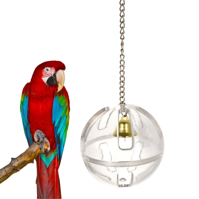 PARROT FORAGING BOX Birds Feeder Toy Parrot Educational Toys Parrot ...