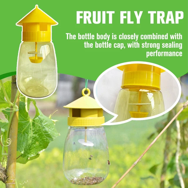 REUSABLE FRUIT FLY Trap Killer Yellow Cage Drosophila Patio Trap ...